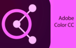 So perfektionieren Sie Ihr Design mit Adobe Color